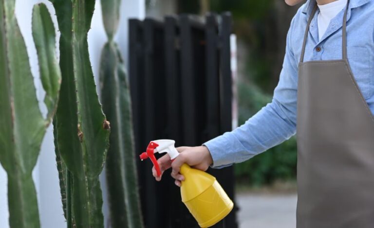How To Get Rid Of Cactus Bugs: Top 7 Tips & Best Guide